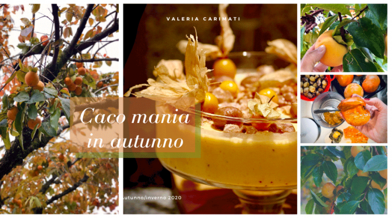 Il caco come frutto o per un dolce - 3 Ricette Sul Comò